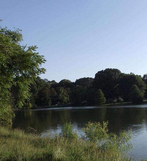 MIAV | Industrial Automation - Multimedia Systems, Show Control and Design